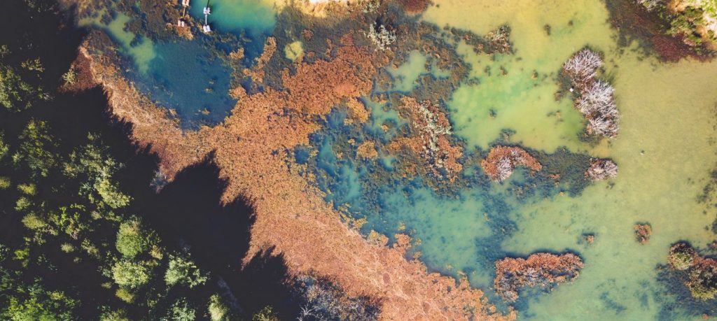 Ecosystems - Climate Hero