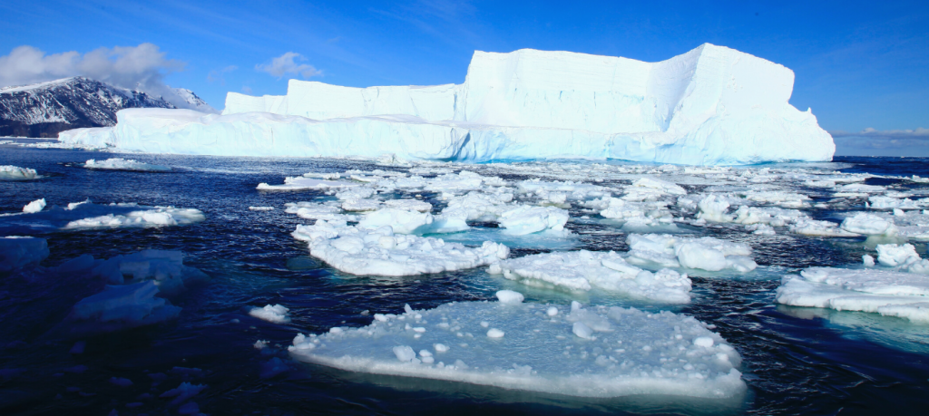 COP26 - Climate Hero